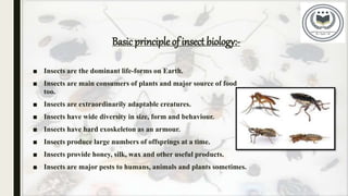 Forensic Entomology | PPTX | Biological Sciences | Science