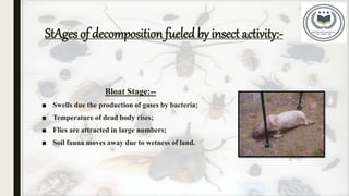 Forensic Entomology | PPT