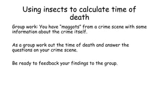 Forensic Entomology: Using Insect Lifecycles to Estimate Time of Death ...