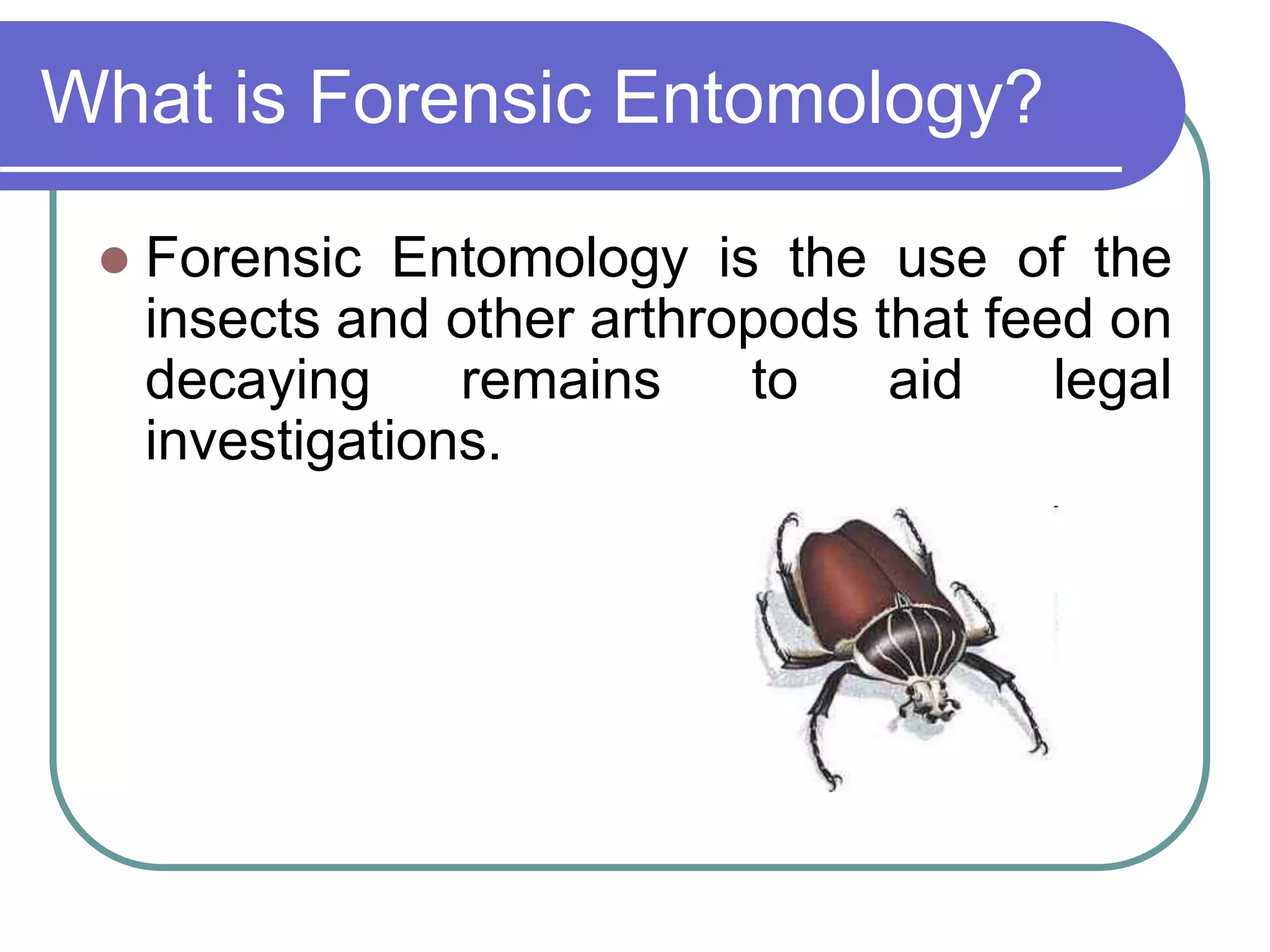 Forensic entomology | PPT