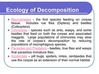 Forensic entomology | PPT | Biological Sciences | Science