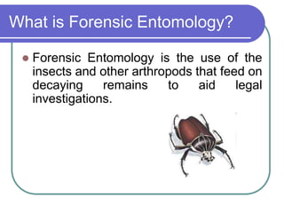 Forensic entomology | PPT | Biological Sciences | Science