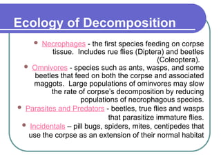 forensic entomology identifaction ana.ppt