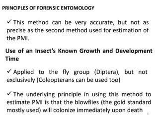 Forensic entomology presentation | PPTX