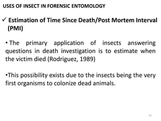 Forensic entomology presentation | PPTX