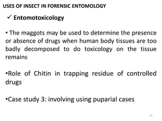 Forensic entomology presentation | PPTX