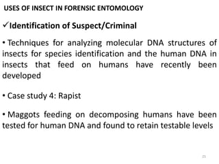 Forensic entomology presentation | PPTX