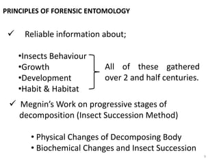 Forensic entomology presentation | PPTX