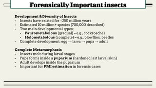 Forensic Entomology: Insects as Evidence | PDF