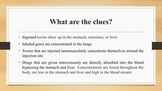 Forensic Ethics and about its importance | PPTX