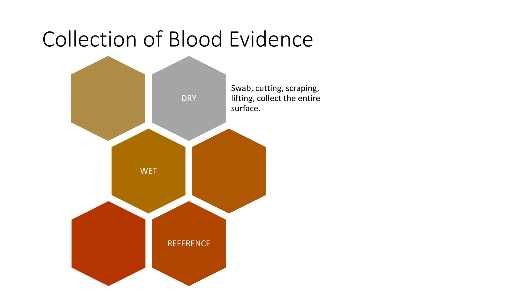 Forensic examination of Blood semen saliva.pptx