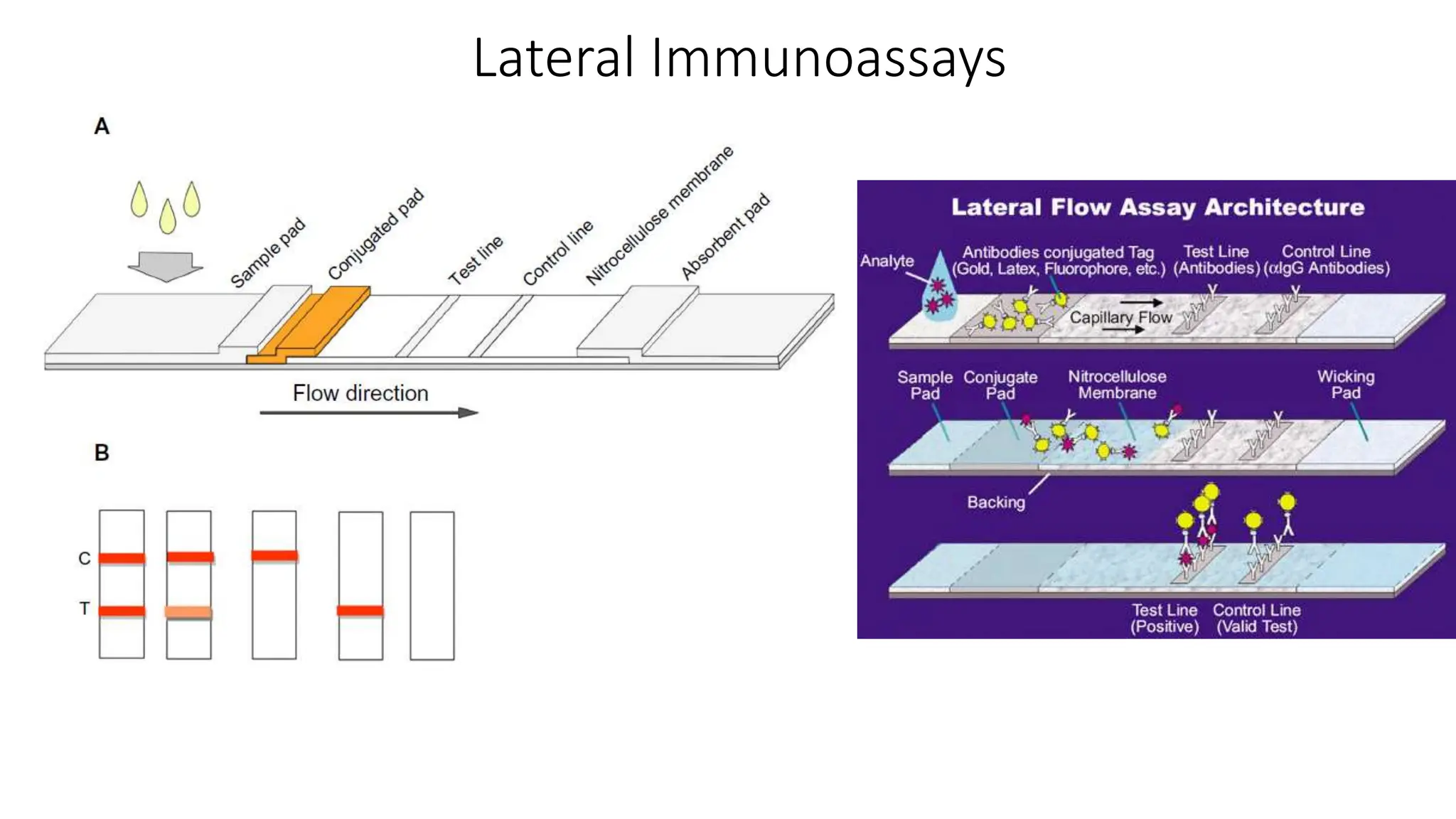 Forensic examination of Blood semen saliva.pptx