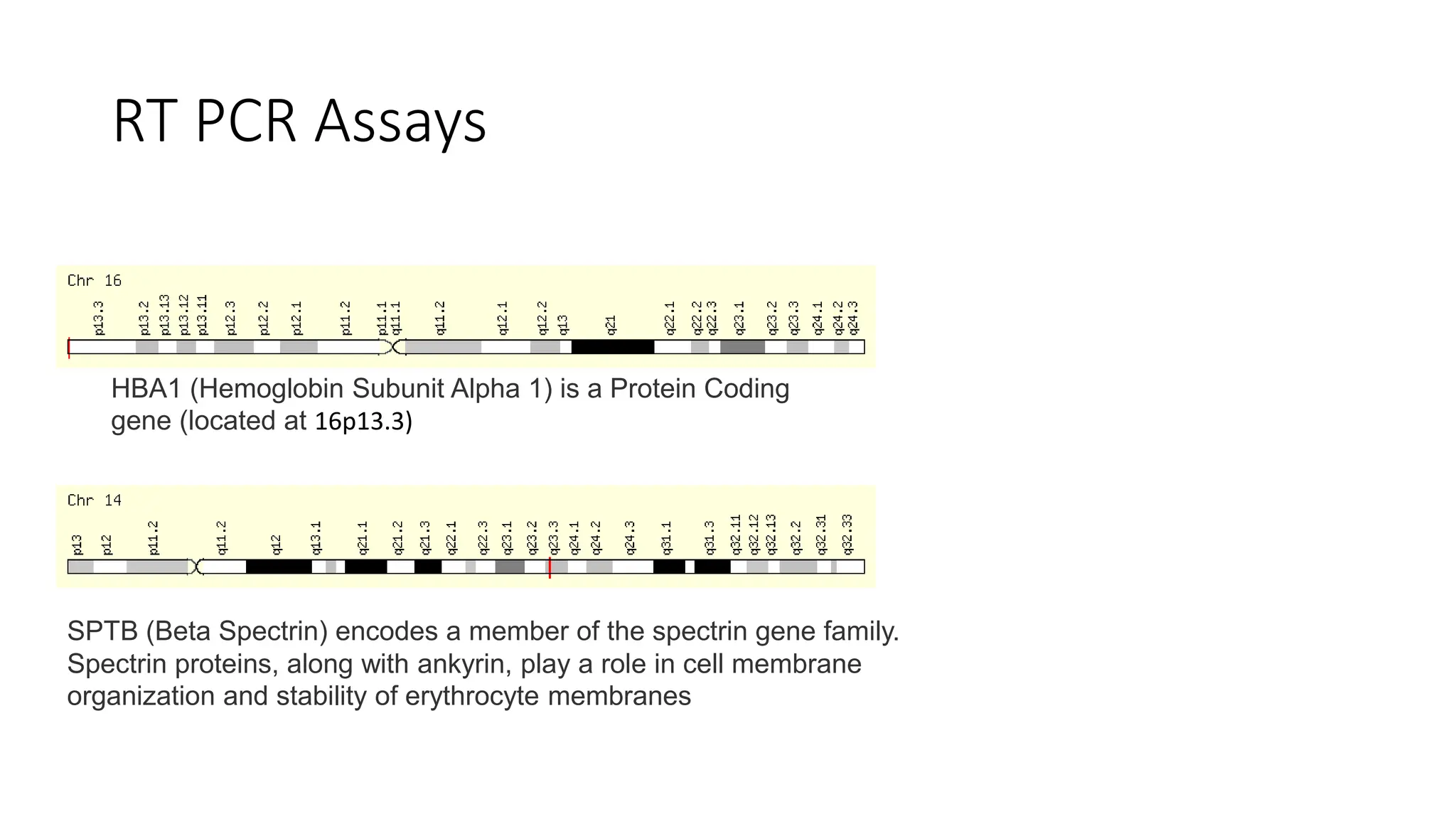 Forensic examination of Blood semen saliva.pptx