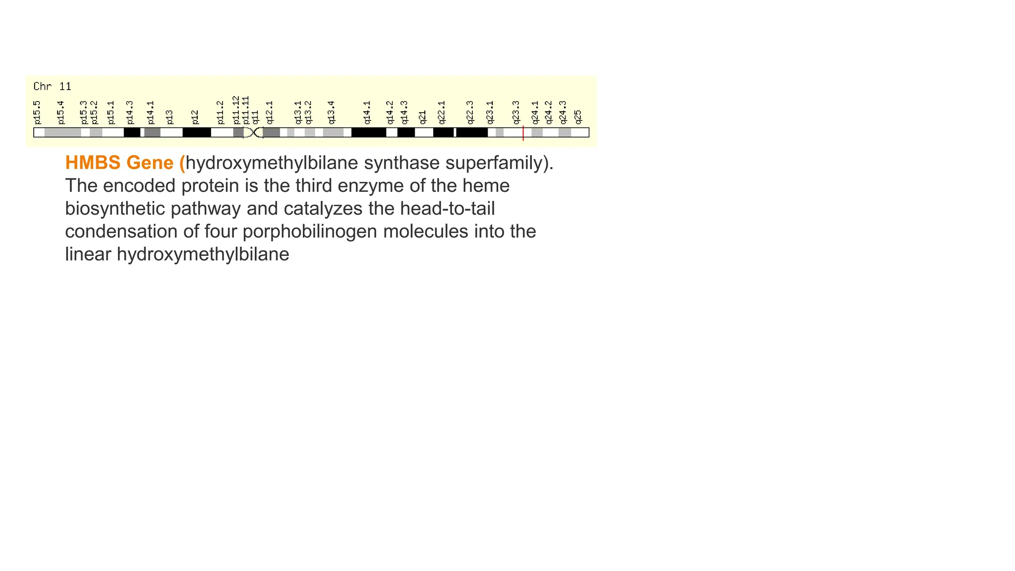 Forensic examination of Blood semen saliva.pptx