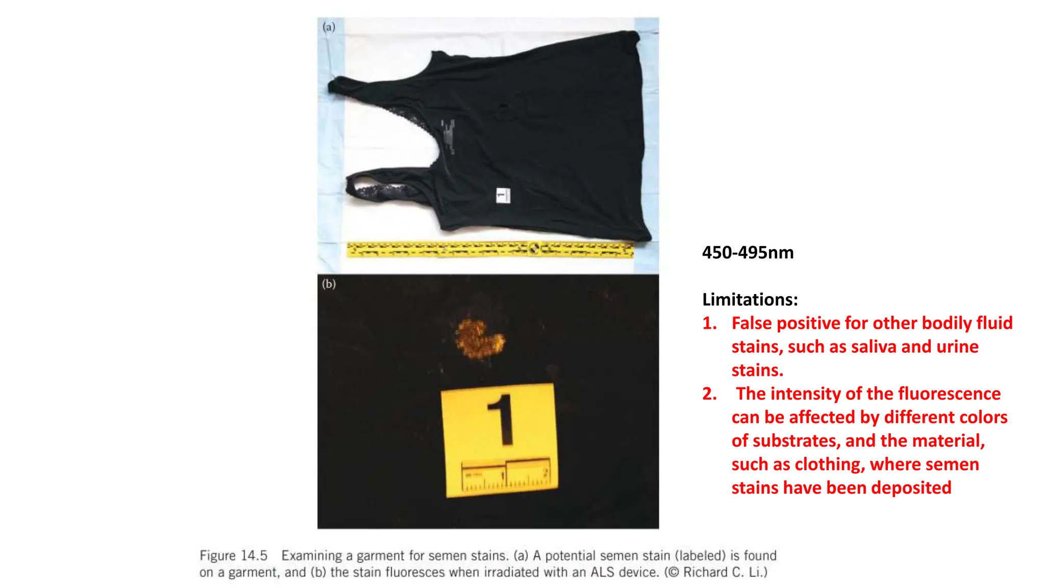 Forensic examination of Blood semen saliva.pptx