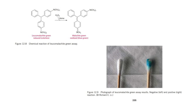 Forensic examination of Blood semen saliva.pptx