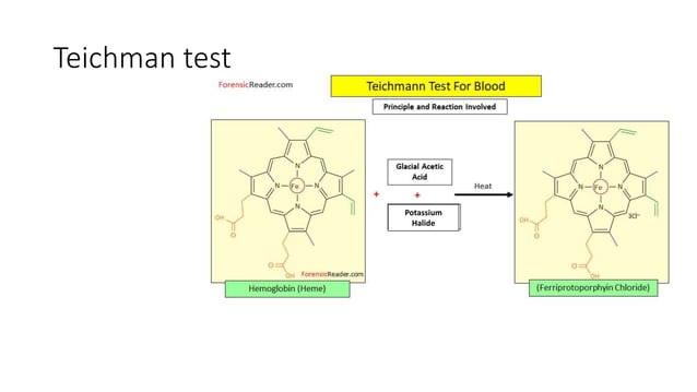 Forensic examination of Blood semen saliva.pptx