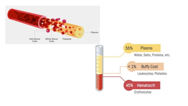 Forensic examination of Blood semen saliva.pptx