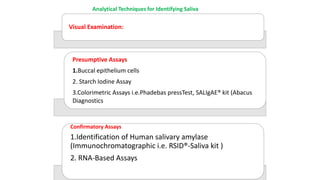 Forensic examination of Blood semen saliva.pptx