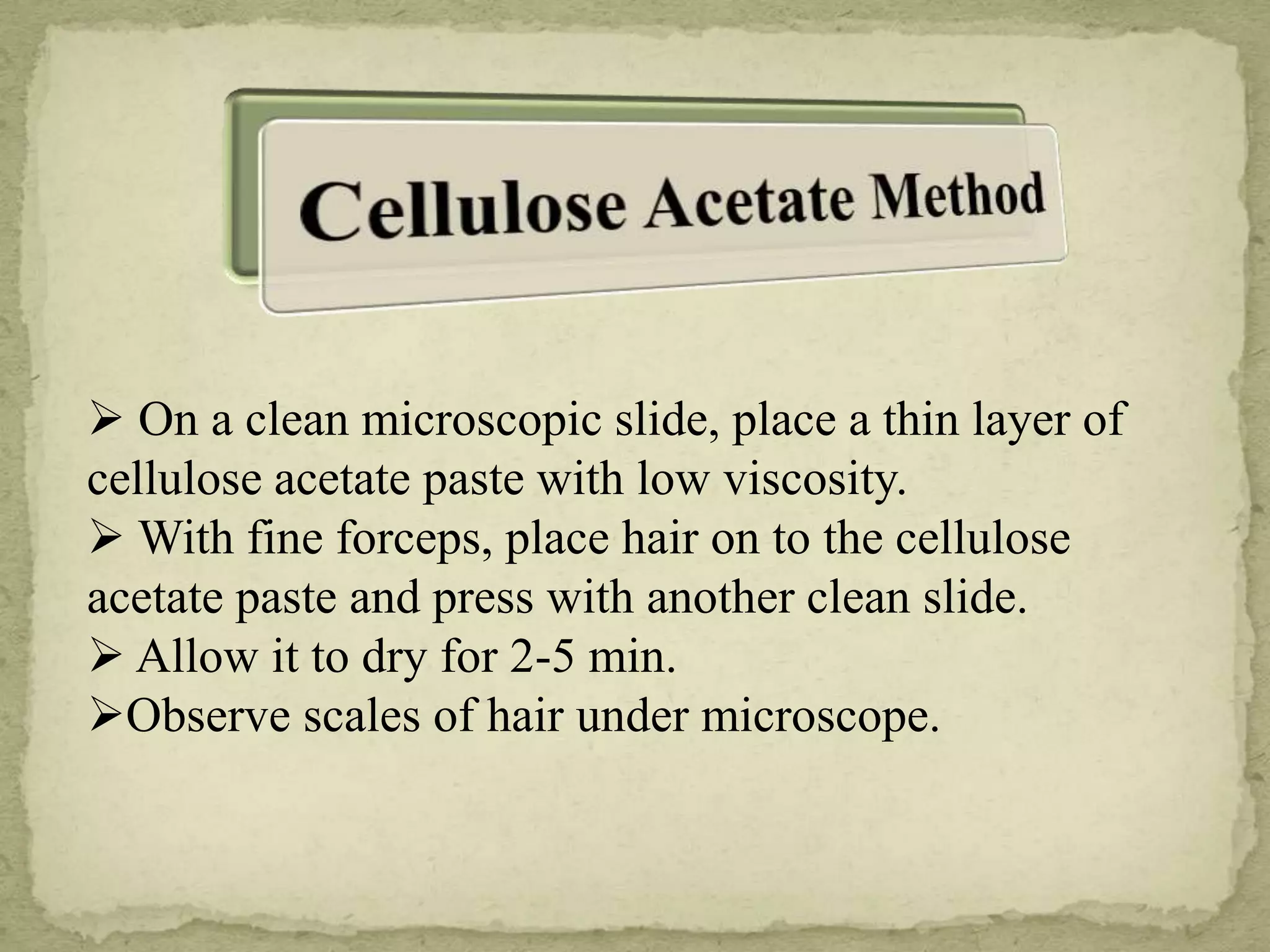 Forensic examination of hair | PPTX