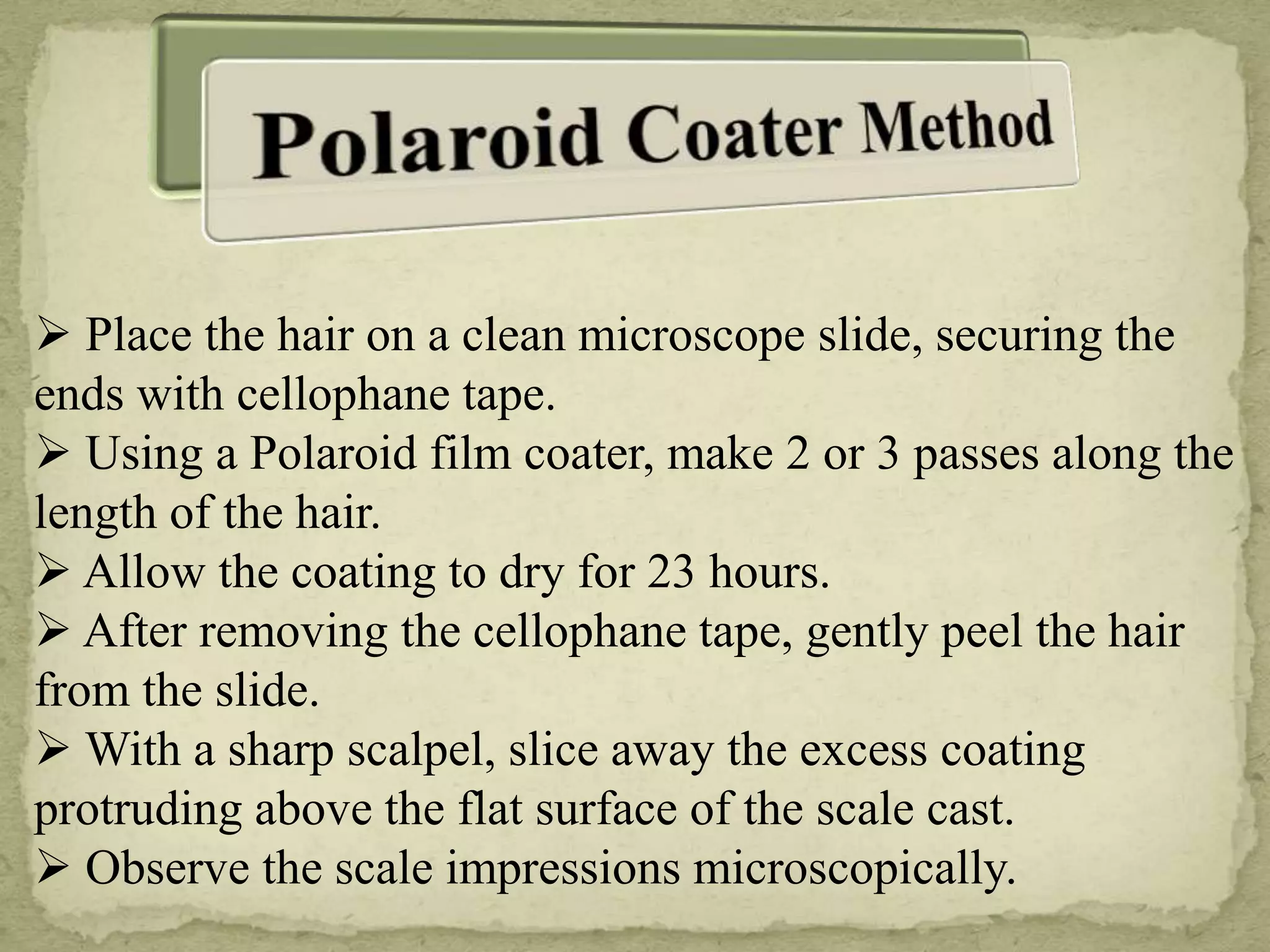 Forensic examination of hair | PPTX