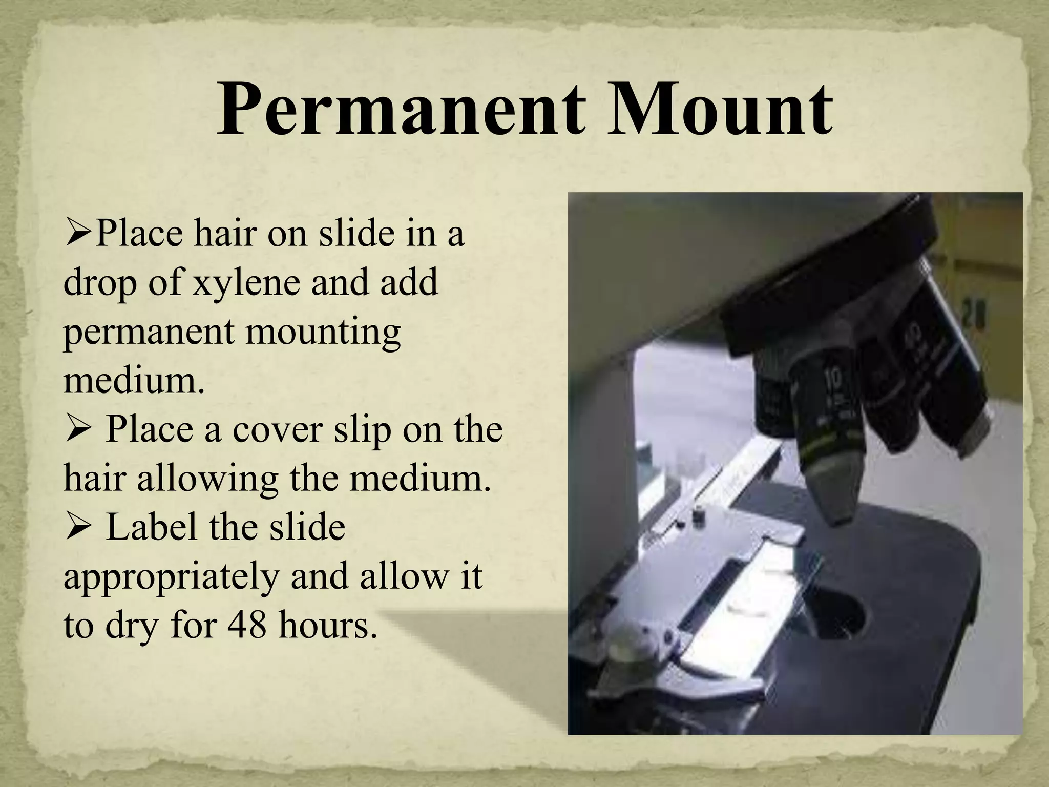 Forensic examination of hair | PPTX