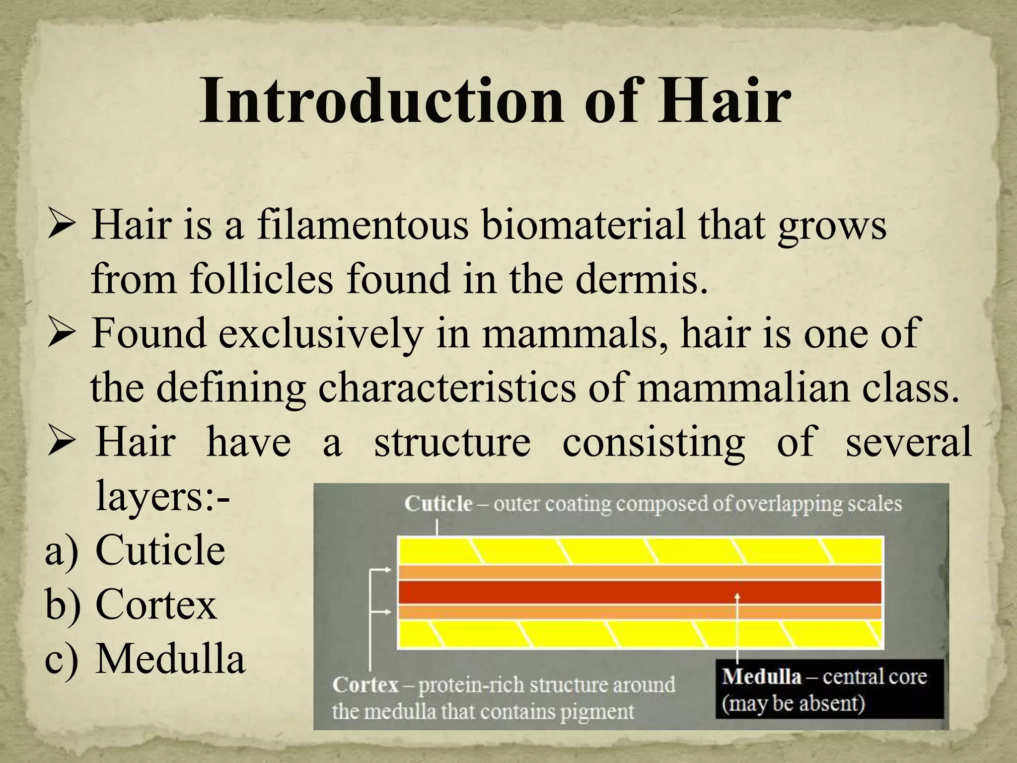 Forensic examination of hair | PPTX