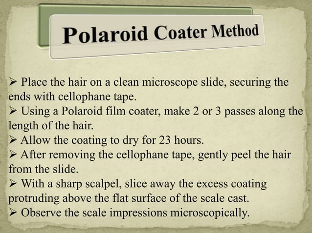 Forensic examination of hair | PPTX