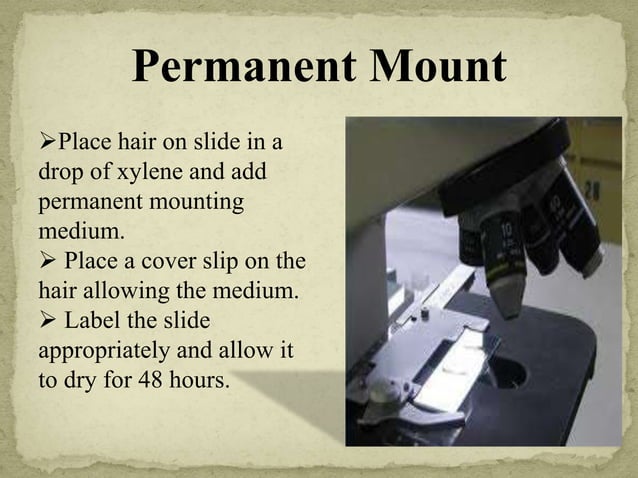 Forensic examination of hair | PPTX