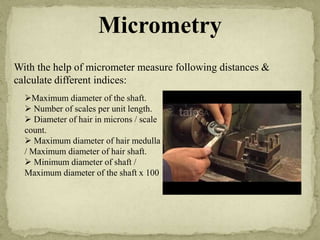 Forensic examination of hair | PPTX