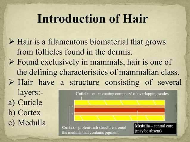 Forensic examination of hair | PPTX