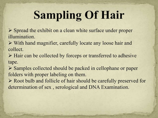Forensic examination of hair | PPTX