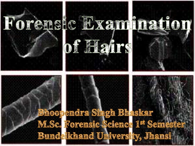 Forensic examination of hair