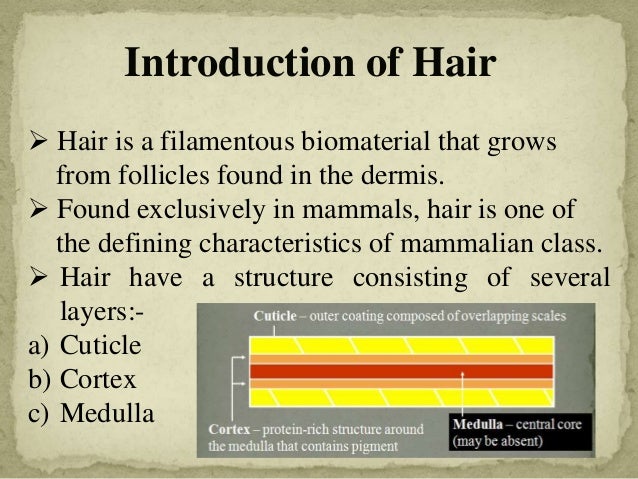 Forensic Hair Examination