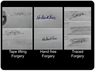 Forensic Examination of Signature | PPTX