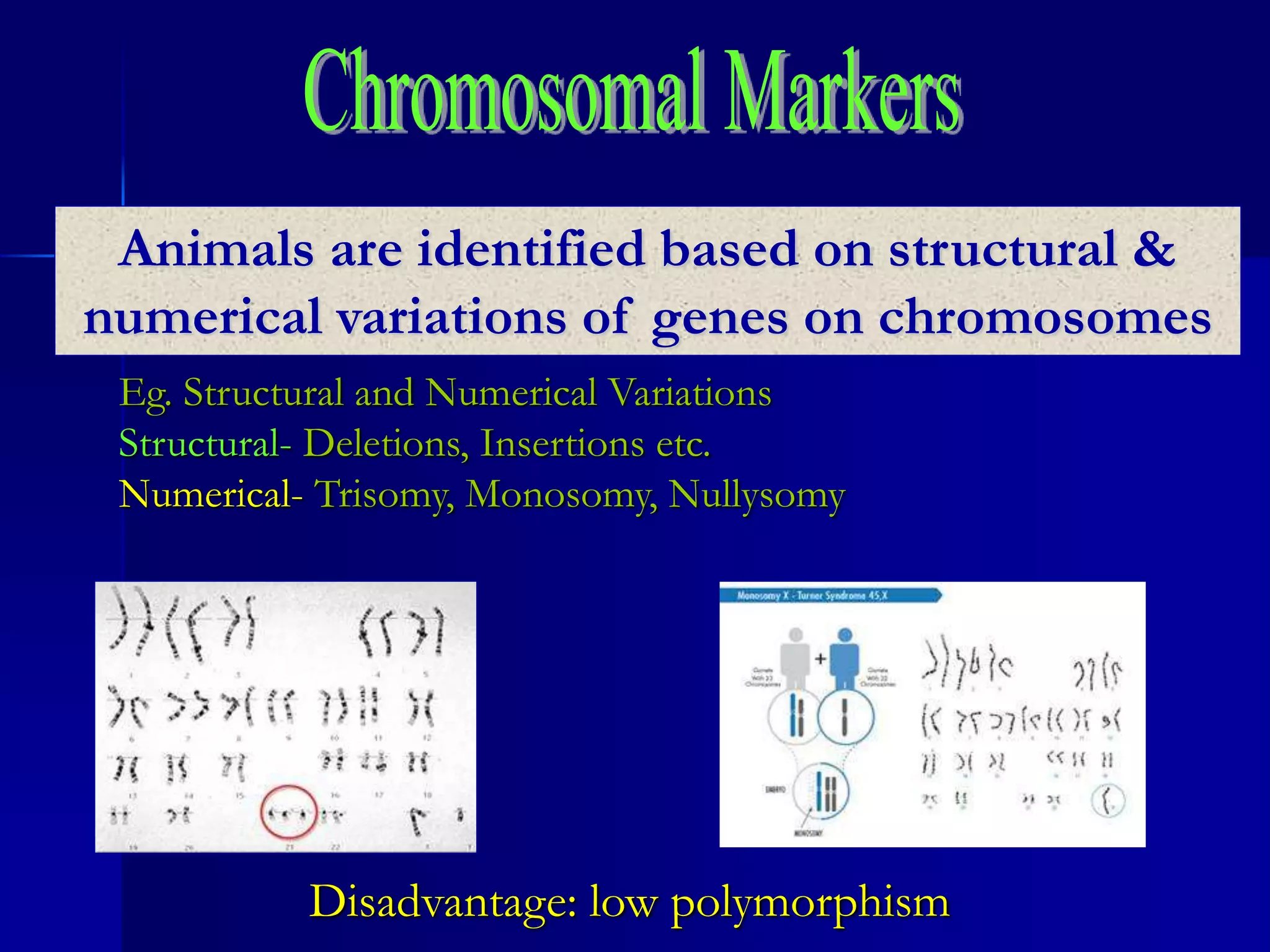 Forensic genetics | PPTX