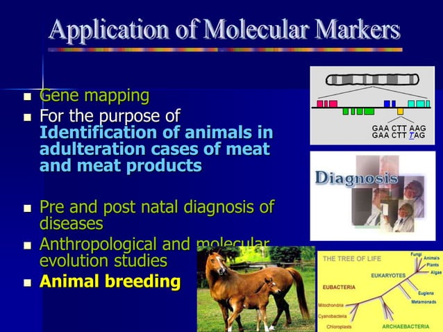 Forensic genetics | PPTX