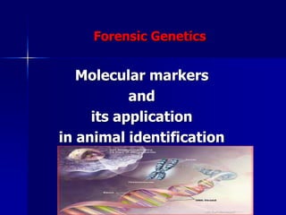 Forensic genetics | PPTX