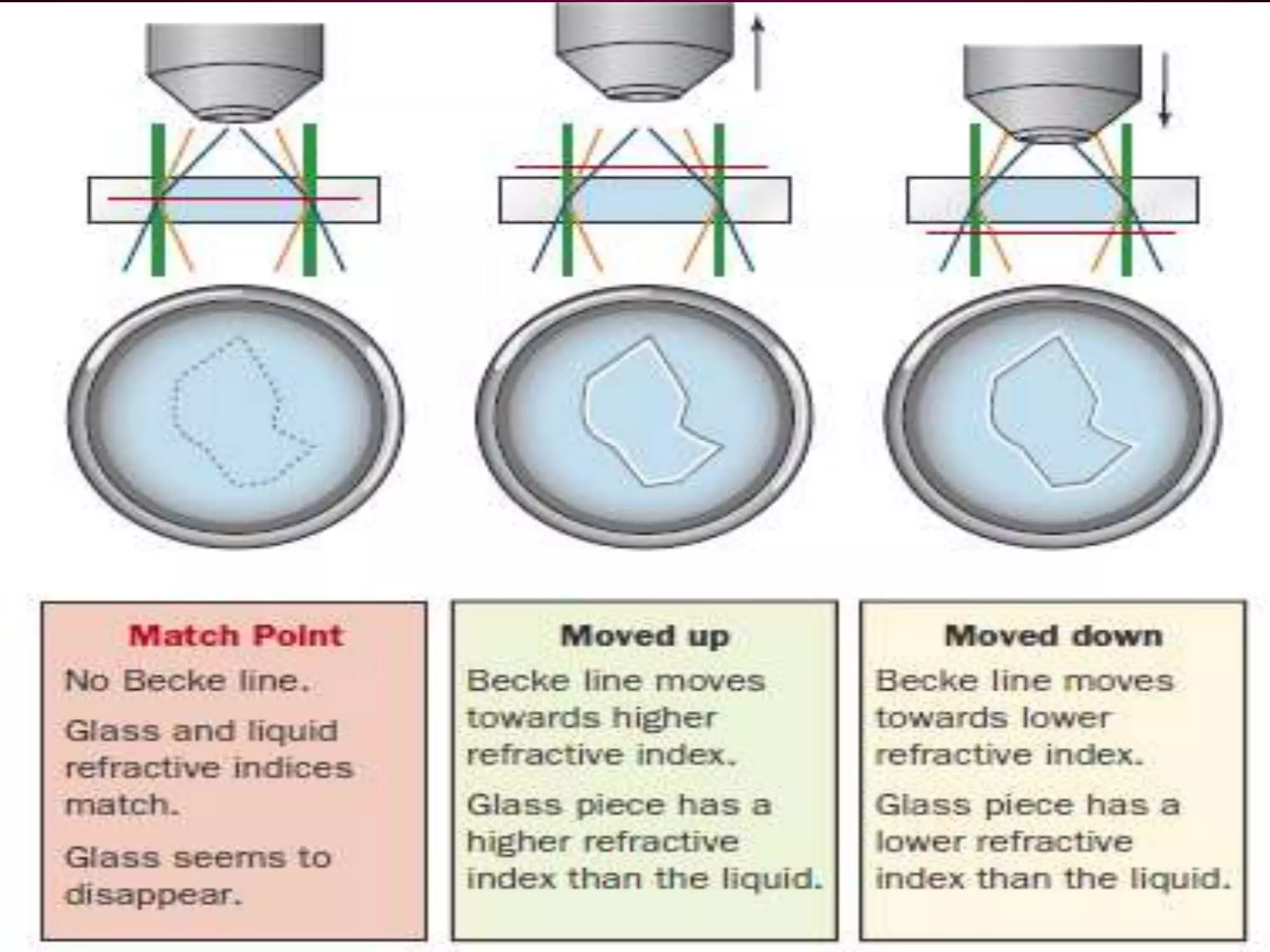 Glass Analysis in Forensic Science | PPT