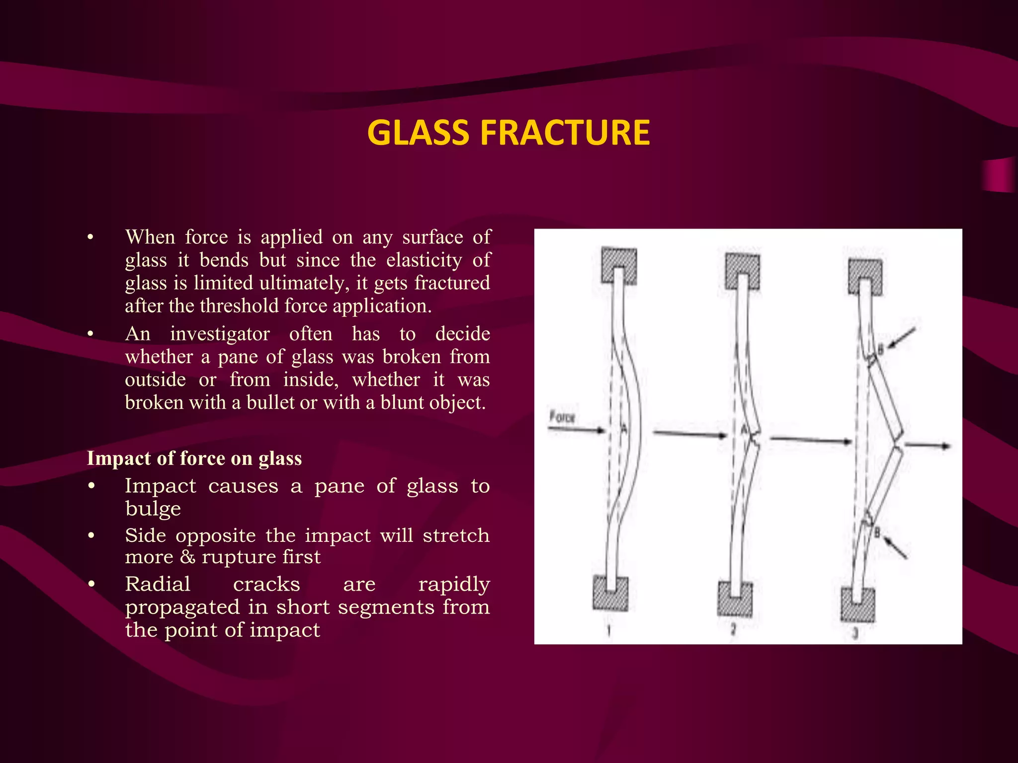 Glass Analysis in Forensic Science | PPT