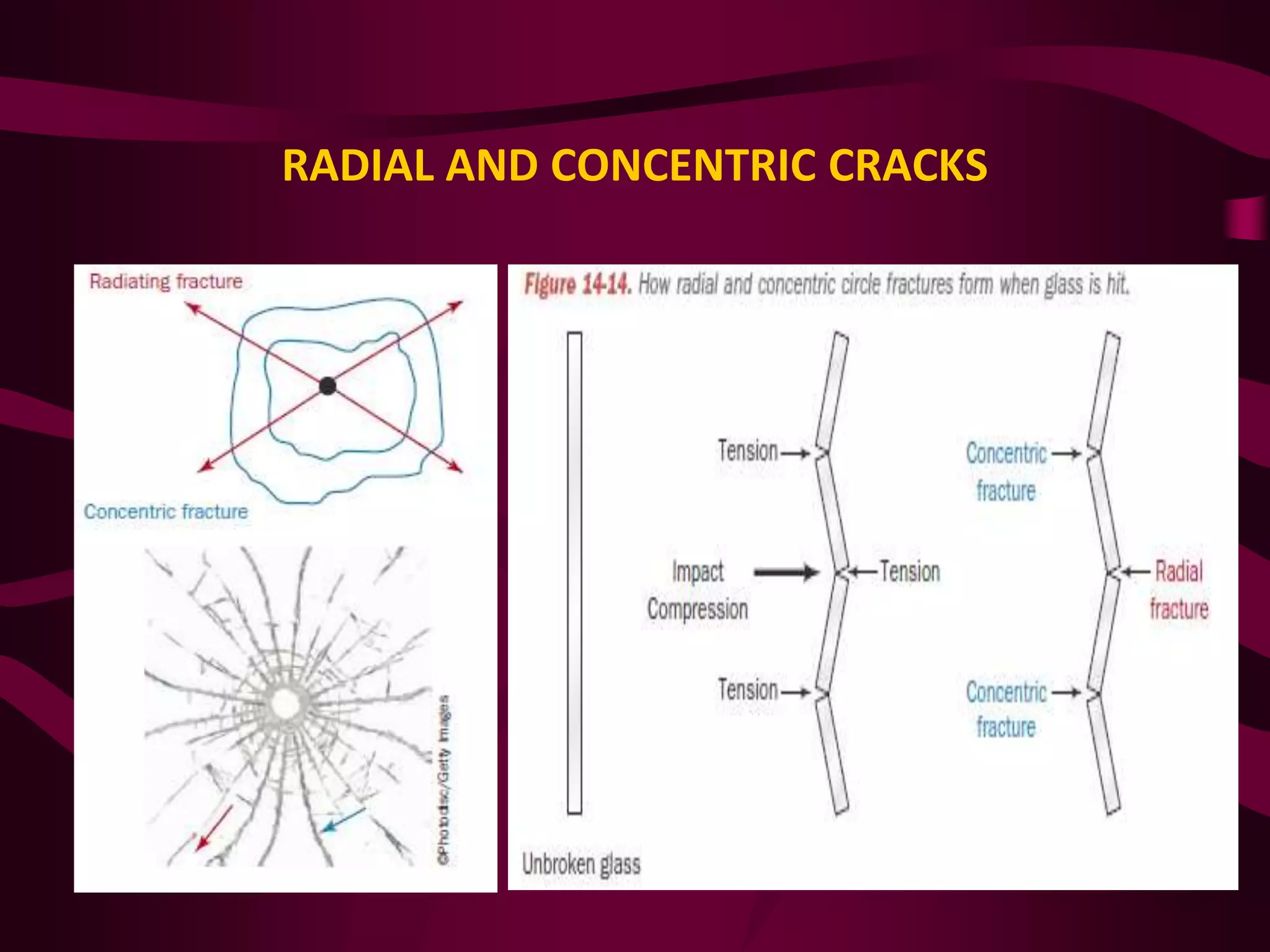 Glass Analysis in Forensic Science | PPT