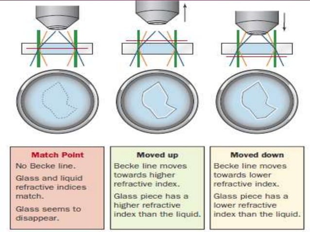 Glass Analysis in Forensic Science | PPT | Chemistry | Science
