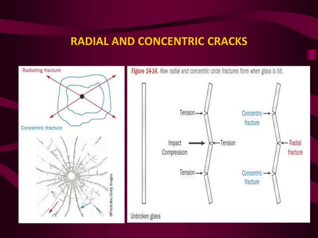Glass Analysis in Forensic Science | PPT | Chemistry | Science