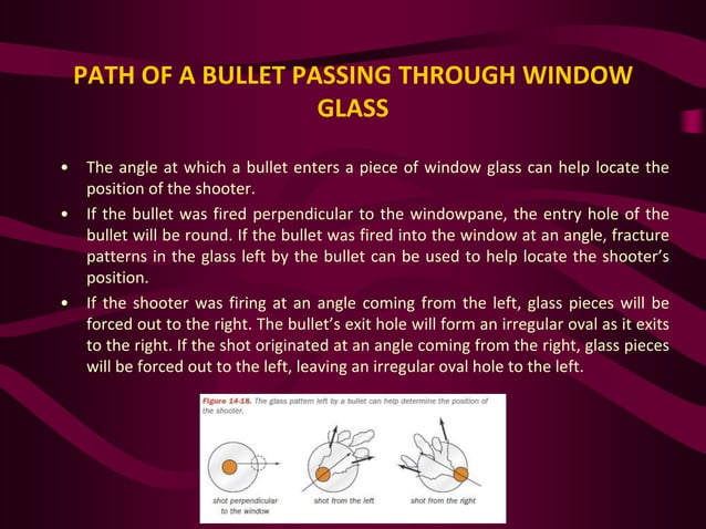 Glass Analysis in Forensic Science | PPT | Chemistry | Science