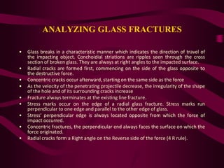 Glass Analysis in Forensic Science | PPT