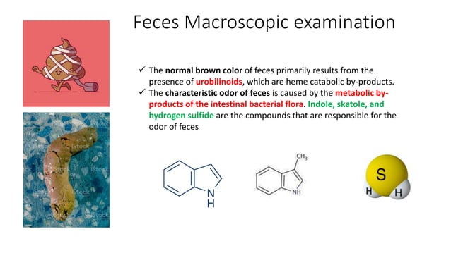 Forensic identification of uncommon body fluids.pptx | Chemistry | Science