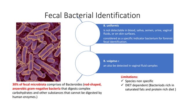 Forensic identification of uncommon body fluids.pptx | Chemistry | Science