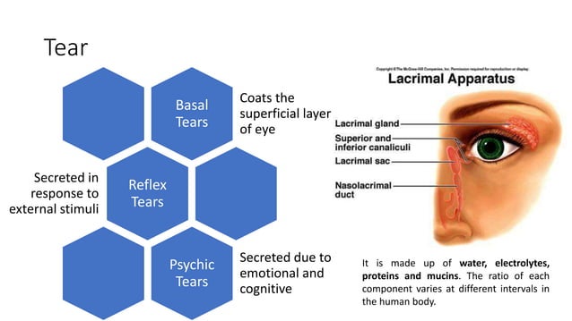 Forensic identification of uncommon body fluids.pptx | Chemistry | Science