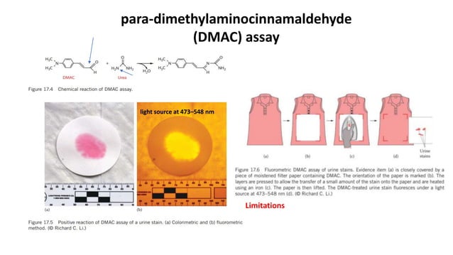 Forensic identification of uncommon body fluids.pptx | Chemistry | Science