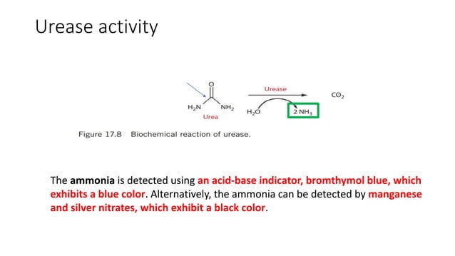 Forensic identification of uncommon body fluids.pptx | Chemistry | Science